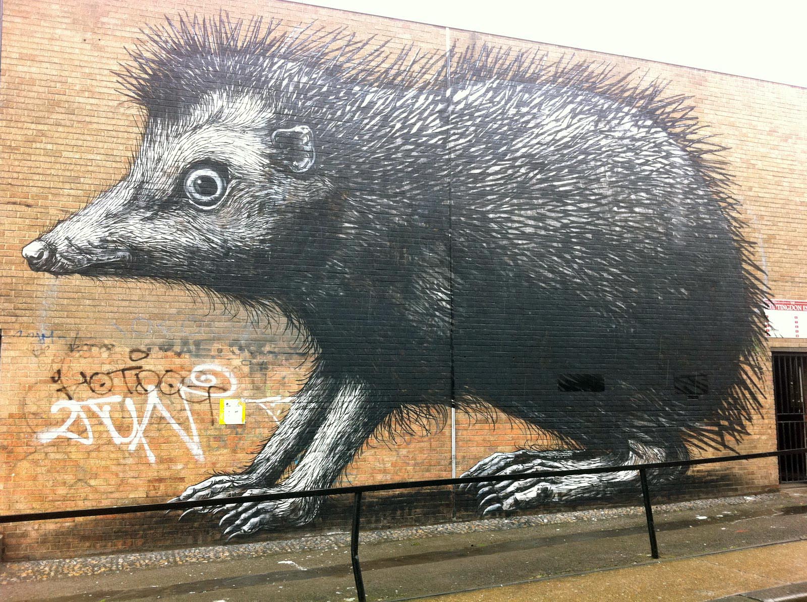ROA New Mural In London | StreetArtNews | StreetArtNews