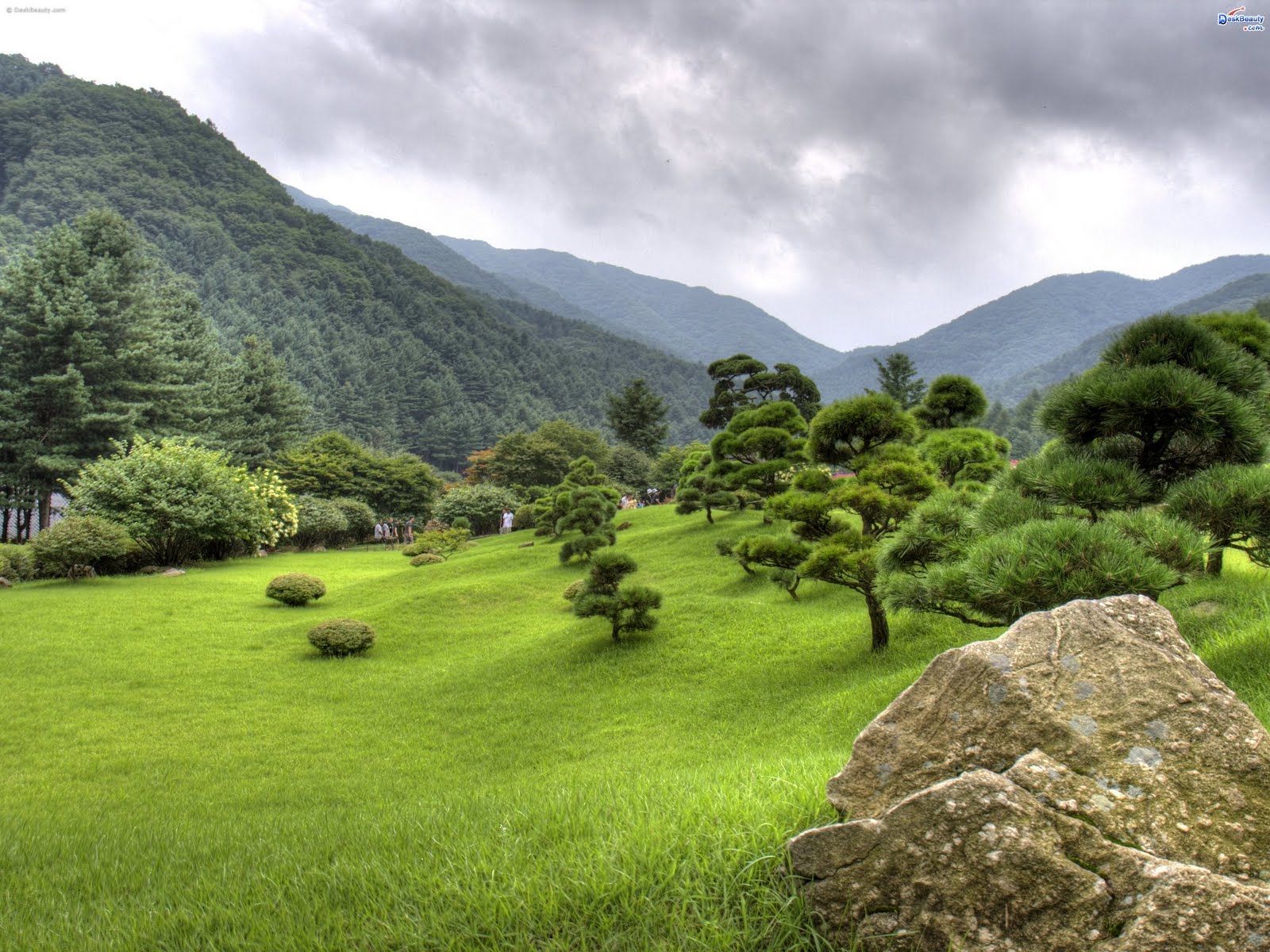 Nature Wallpaper Collection: Backgrounds Wallpapers: Beautiful Nature ...