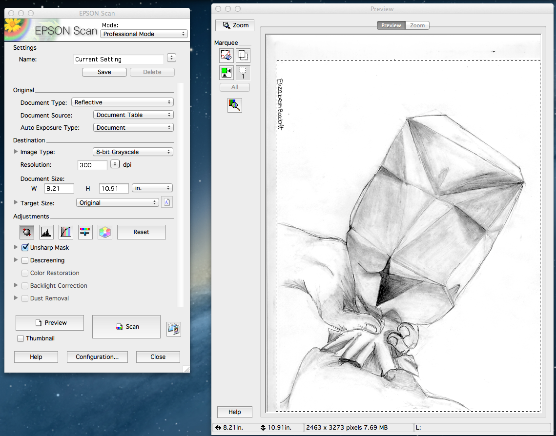 WA DIGITAL DRAWING: Using the Scanner....