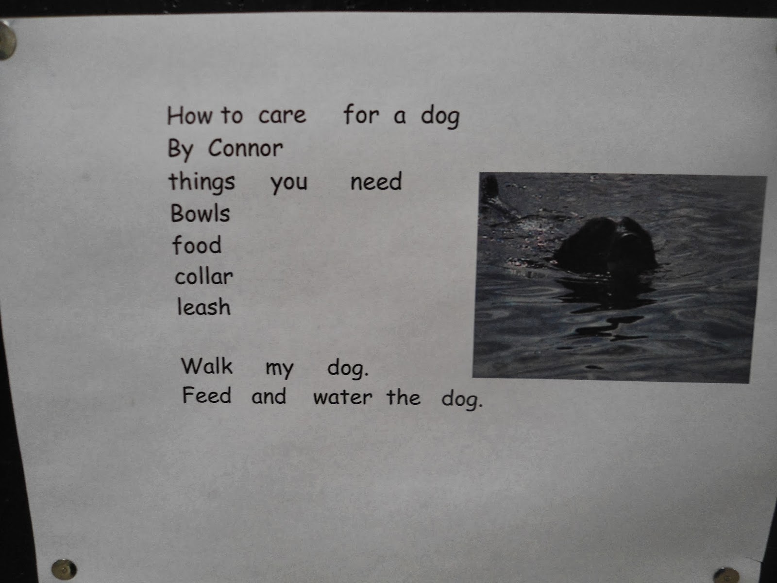 The Passionate Educator: a blog by Mrs. Obach: Procedural Writing