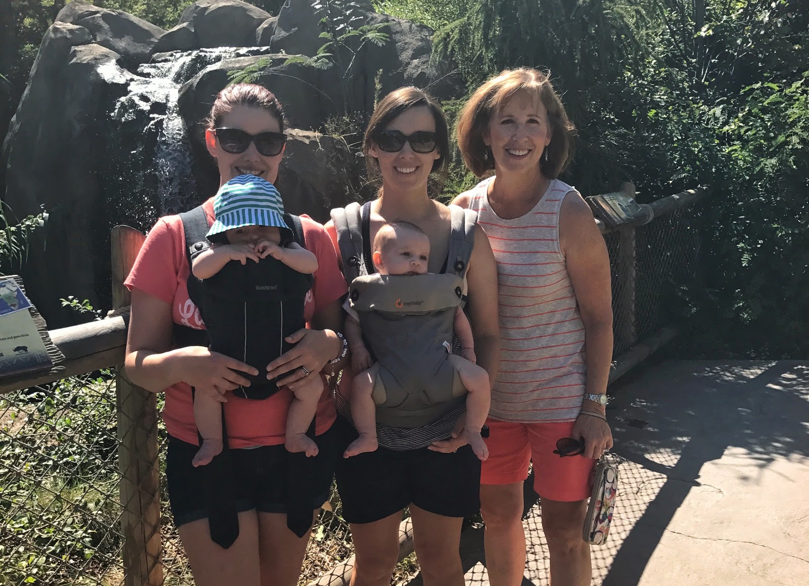 the cozy birdhouse: chompers