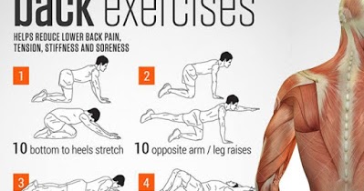 5 minutes lower back exercises