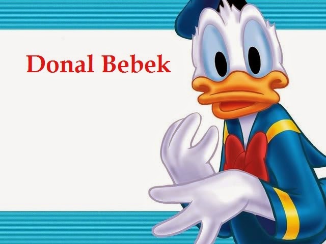 12 Fakta Menarik Tentang Donal Bebek - DJemzware