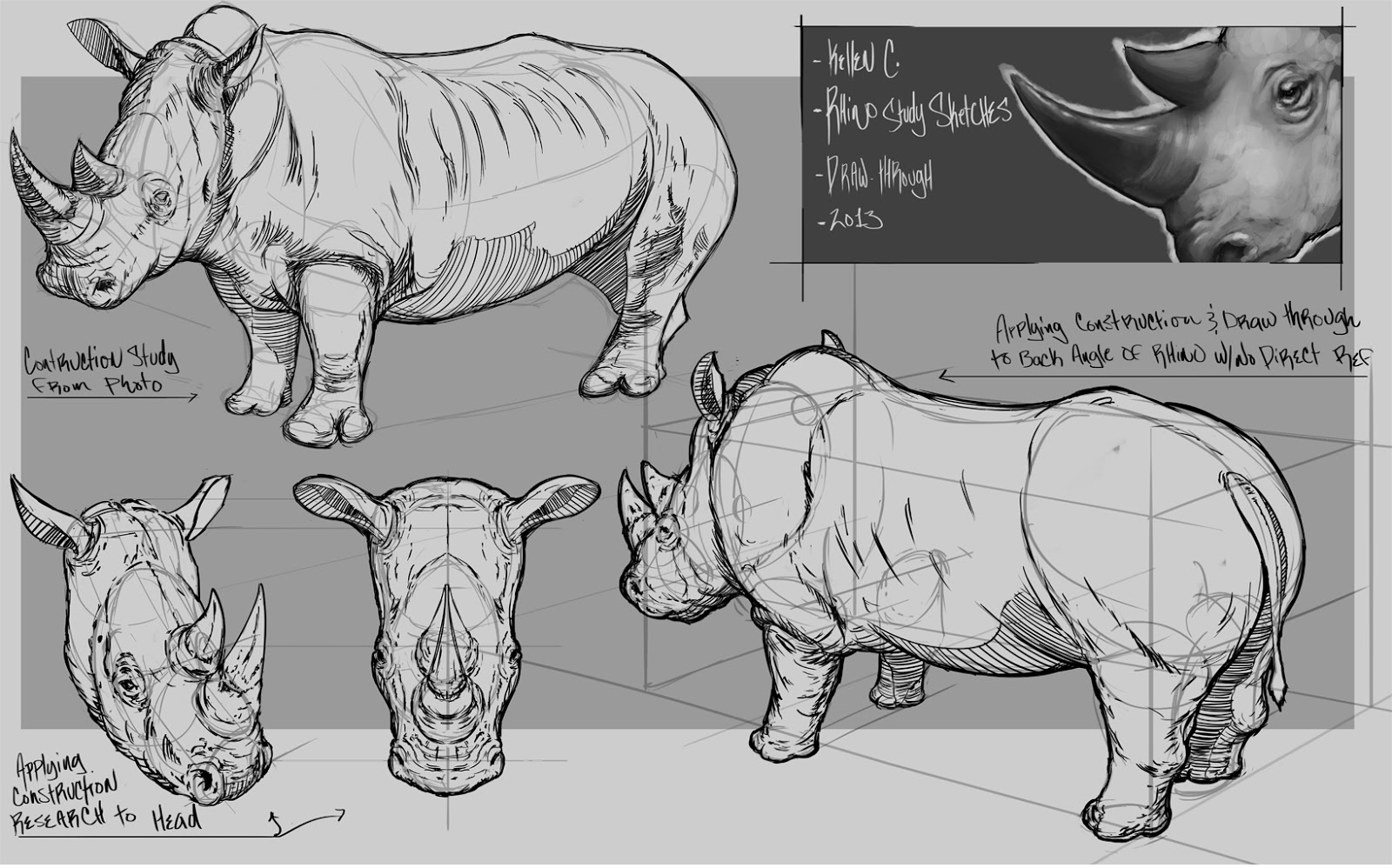 Art Of Kellen Carranza Studying Animal Anatomy art-of-kellen-carranza-studying-animal-anatomy