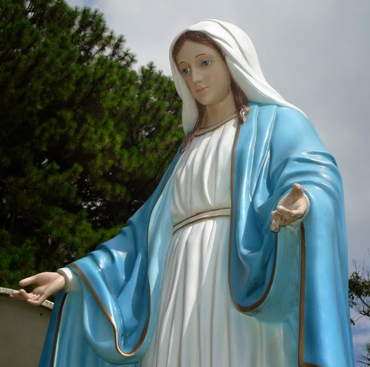 DNAzul - Avaí FC: "Azul é seu manto Branco é seu véu"