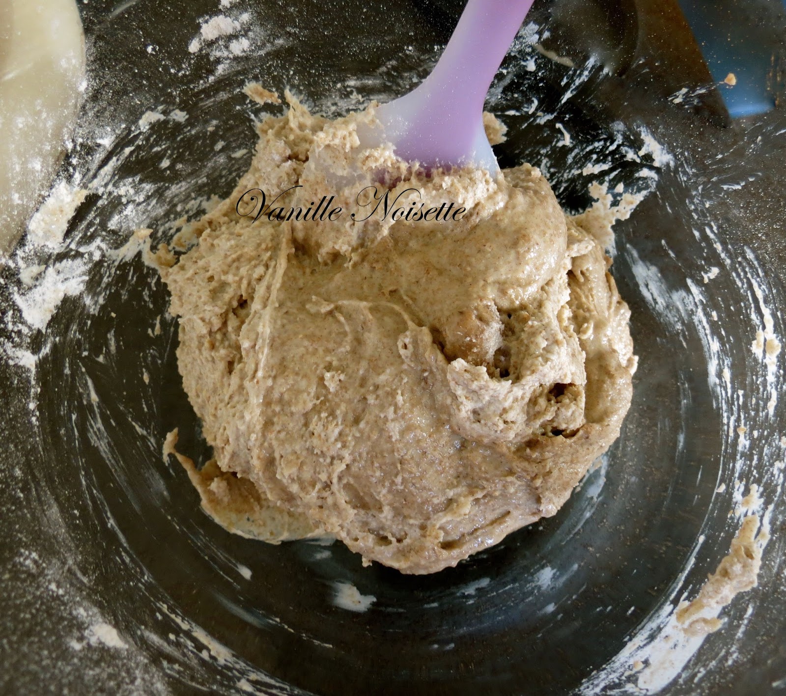 Vanille Noisette : FAIRE SON LEVAIN LIQUIDE