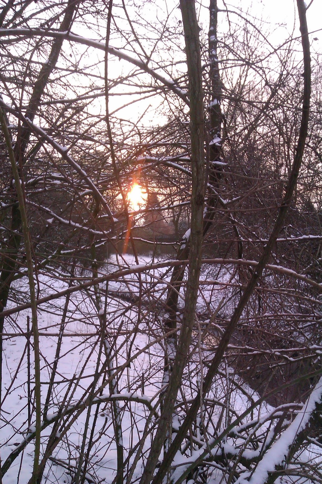 Frau Frieda: Ungarische Lockengänse