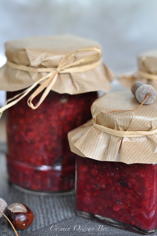 simplu si bun: Preiselbeere Konfitüre...sau gem de merisoare