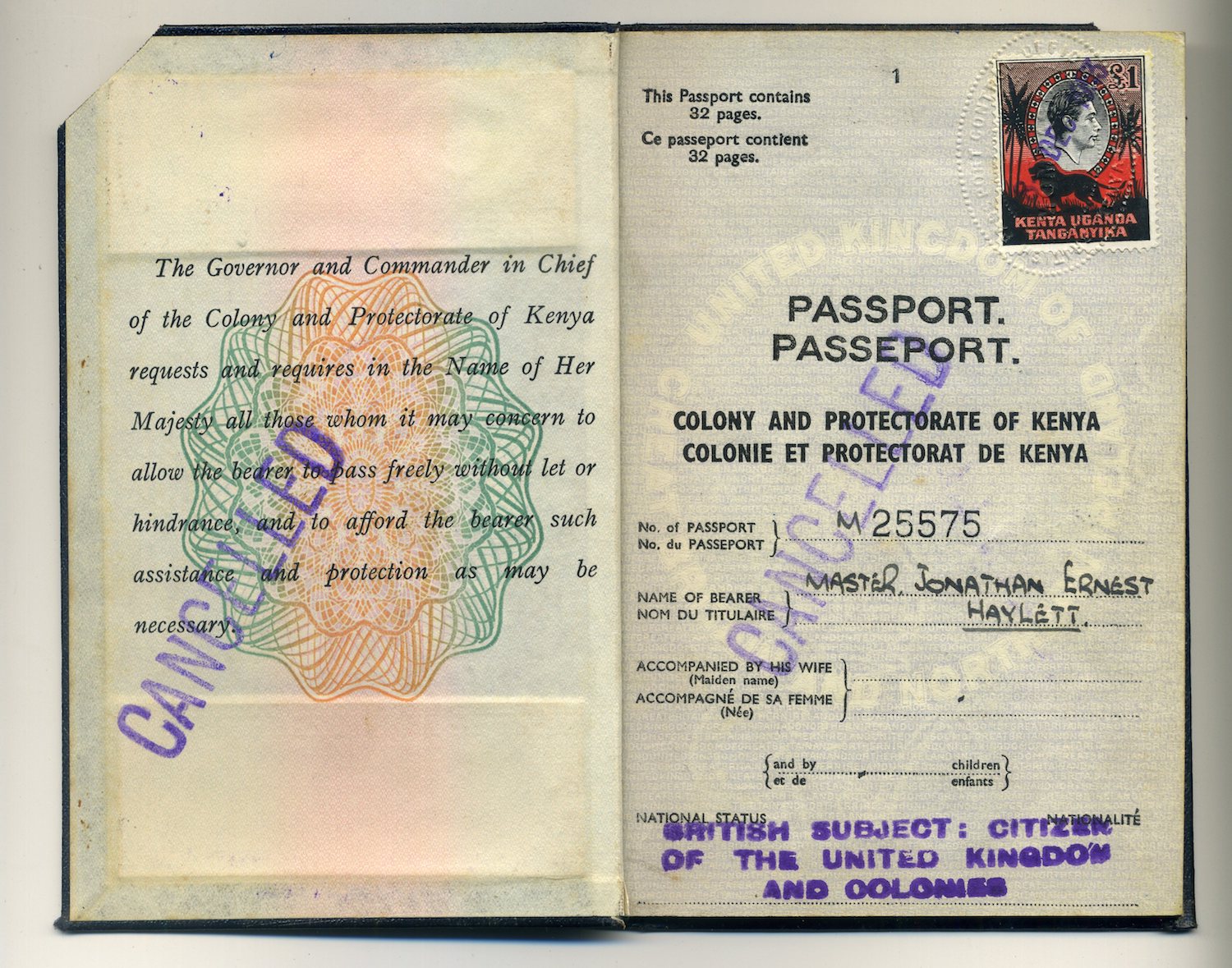 The Memory Wanderer: First Passport