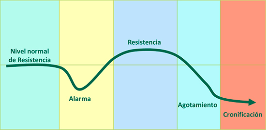 Fases del Estrés ~ Sanación Akashica