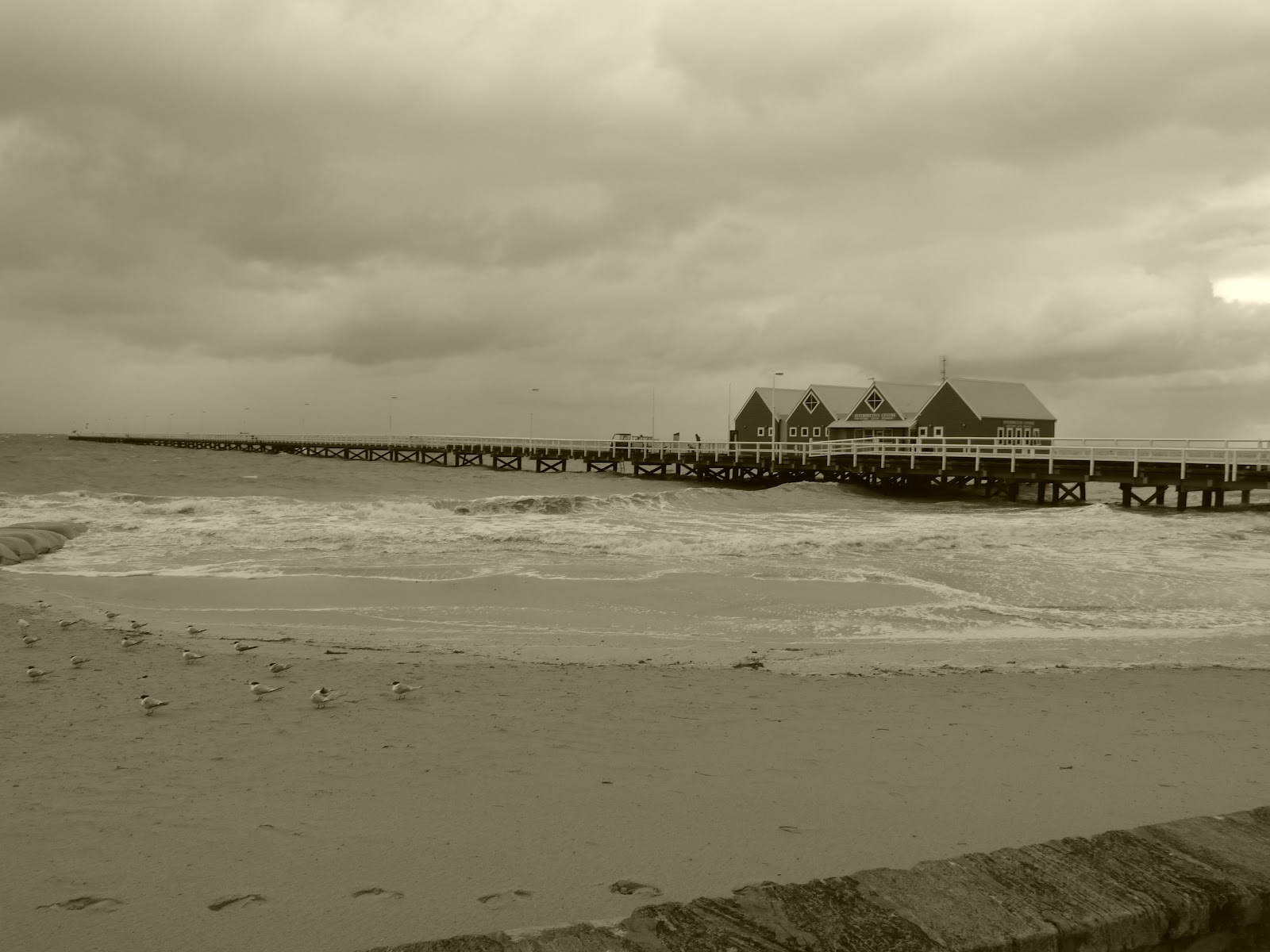 Whiteheads Travel Aus: May 2012