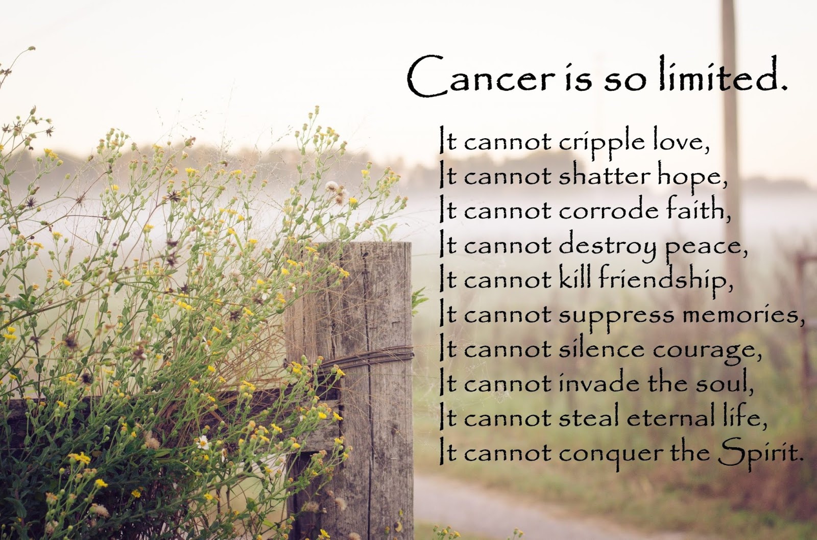 The Pancreatic Cancer Journey: Speaking Words of Hope