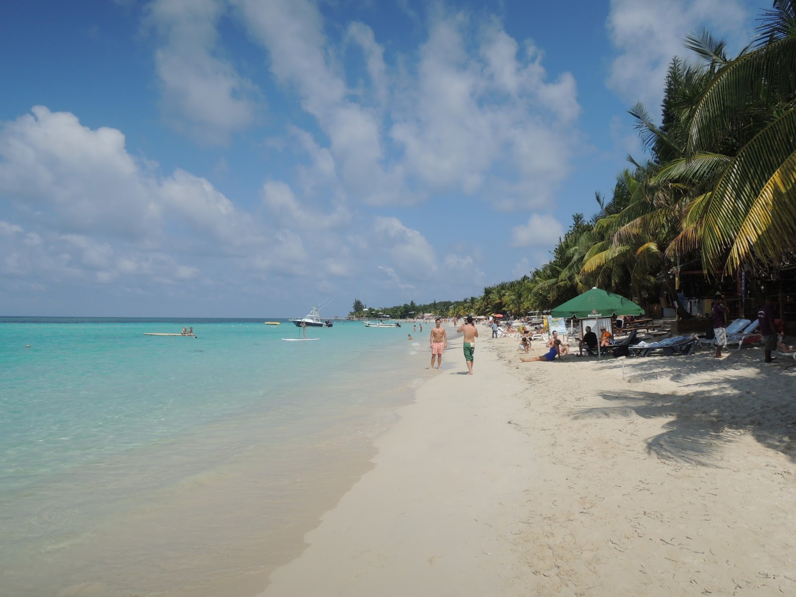 Latin American Lifestyle and Art (LALA): Choosing the LALA Location