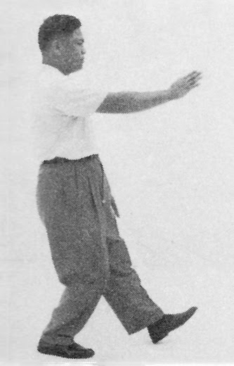 Tai Chi Chuan (Square Form) 12. The Seven Stars Style (Left) - Tai Chi ...