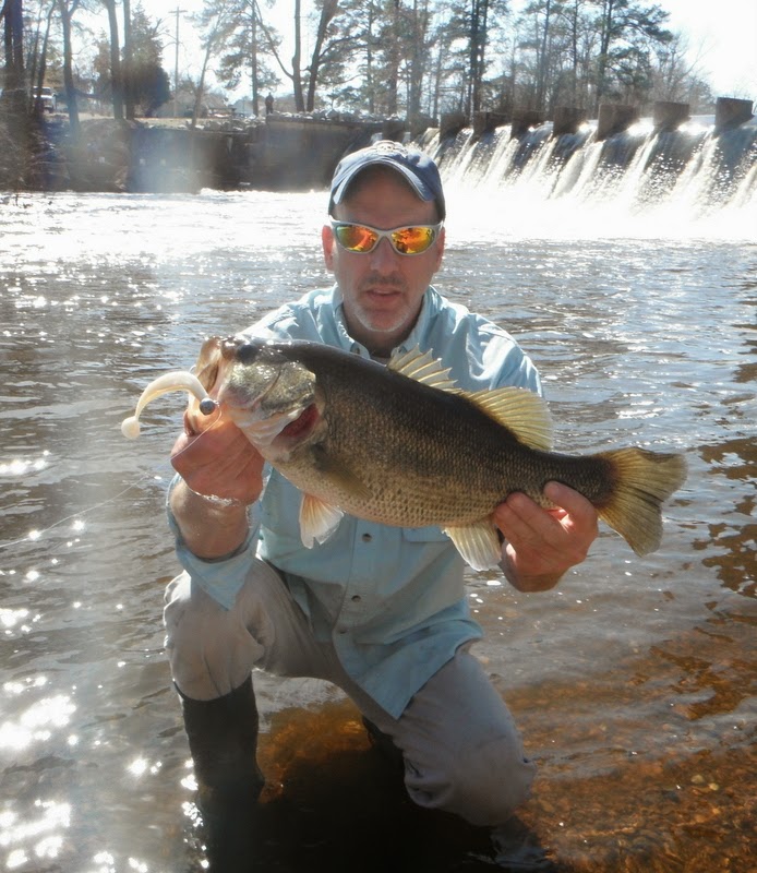 North Carolina River Fishing and Canoeing with Mack: White Shad Fishing ...