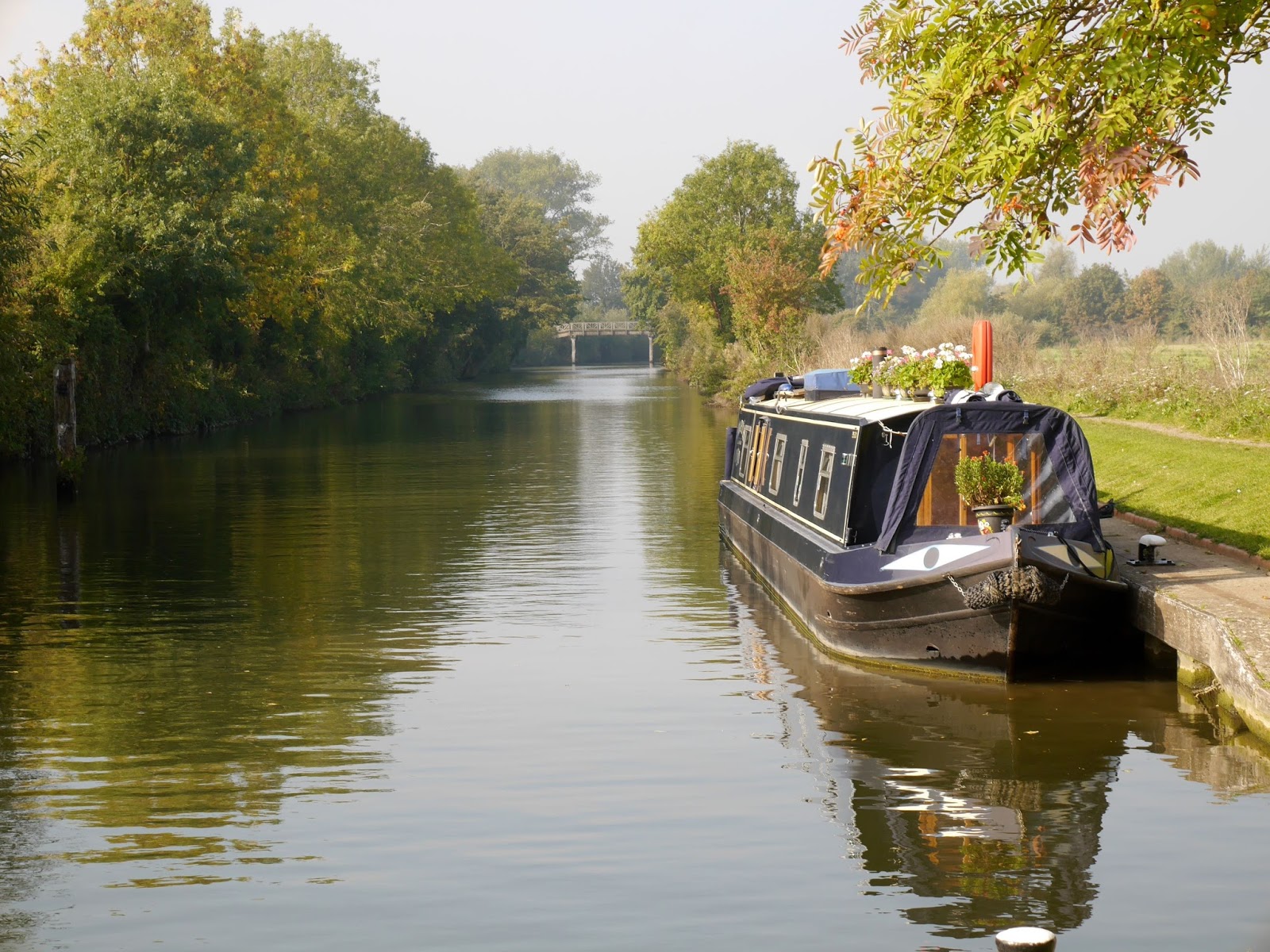 and Millie makes three: Above Days Lock (River Thames) – Friday 2nd October