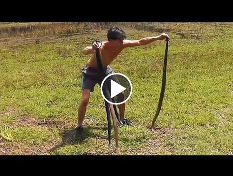 999,999,999 people: Catching Wild Rabbits Using Snakes