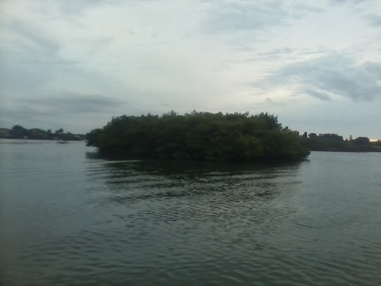 Report from the Florida Zone: Islands Without Names