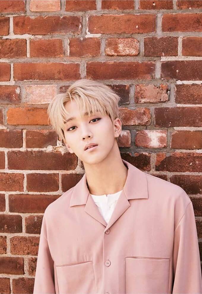 KPOP NEWS: Profile and Facts of Golden Child Personnel