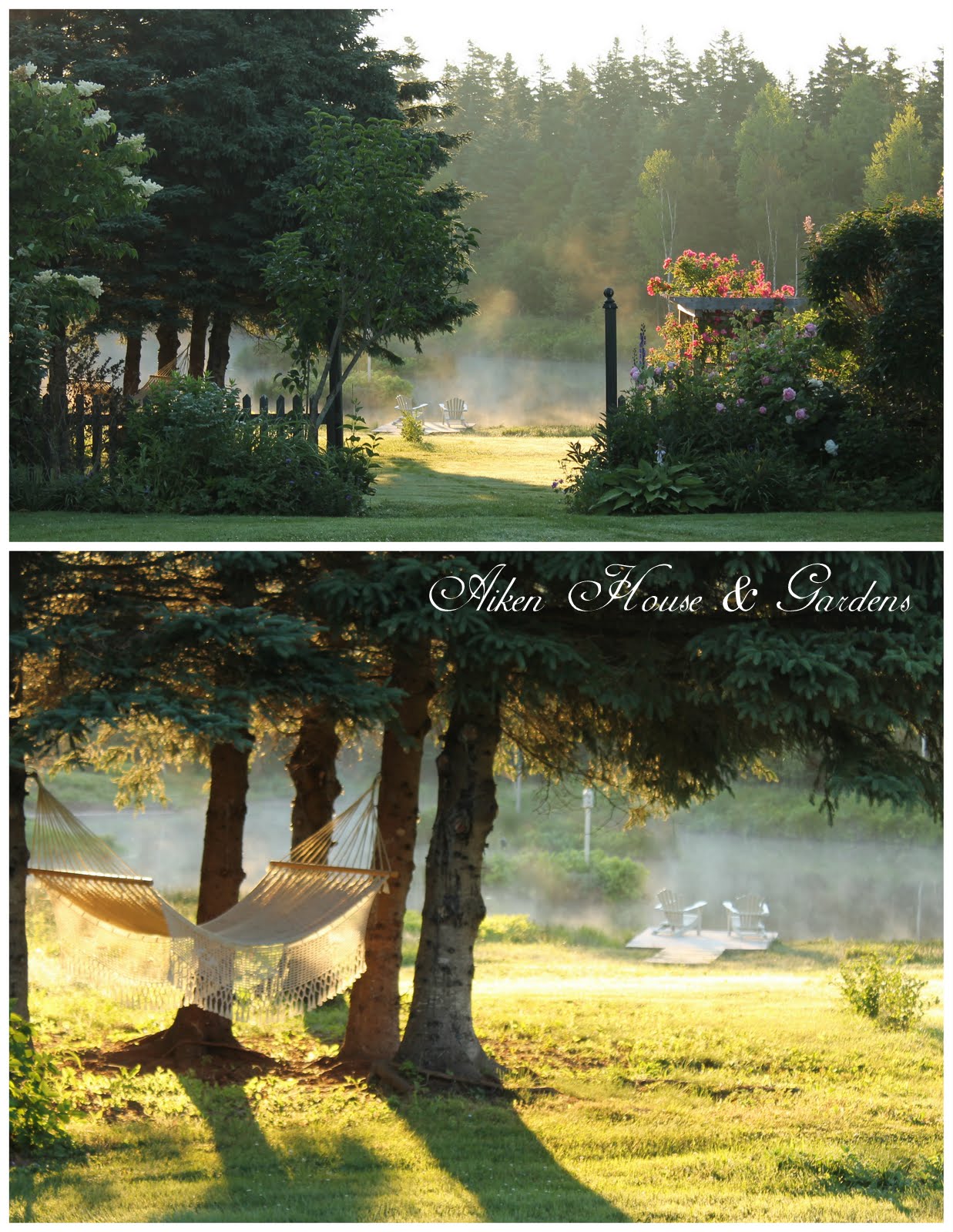 Morning Light - Real estate, House and Home