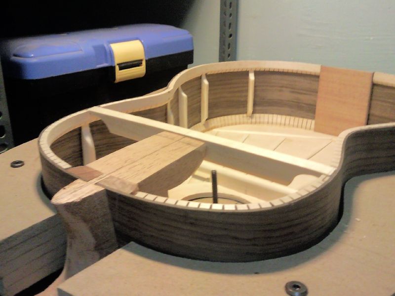 Sen's Guitar Making Blog: Back struts