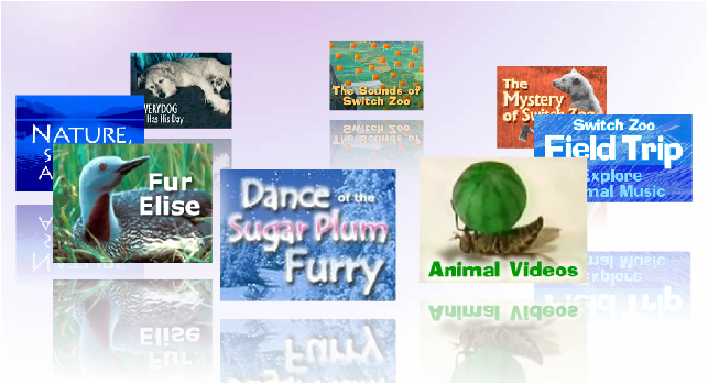 Think * Share * Teach: Switcheroo Zoo