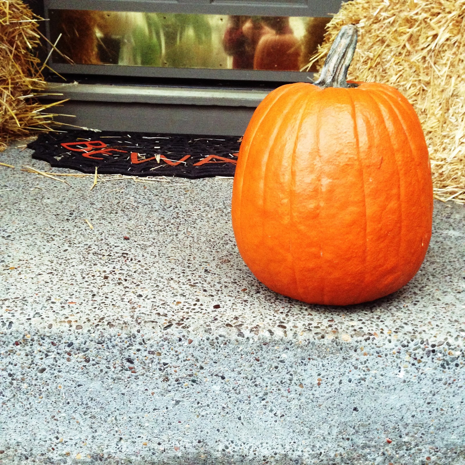 TIMBERWOLF PHOTOGRAPHY: PROJECT #11: GUMPKIN PUTS (in-class digital ...