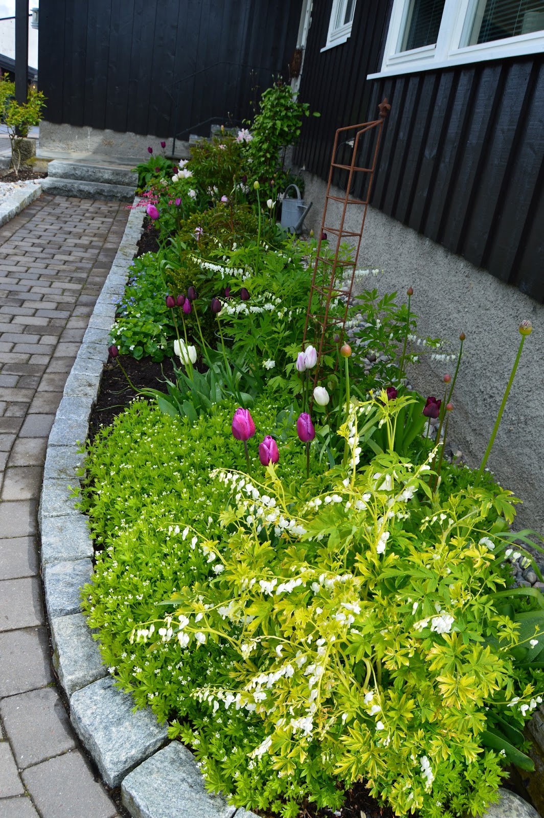 Et blomsterbed gjennom 4 årstider - tips til stauder - Furulunden