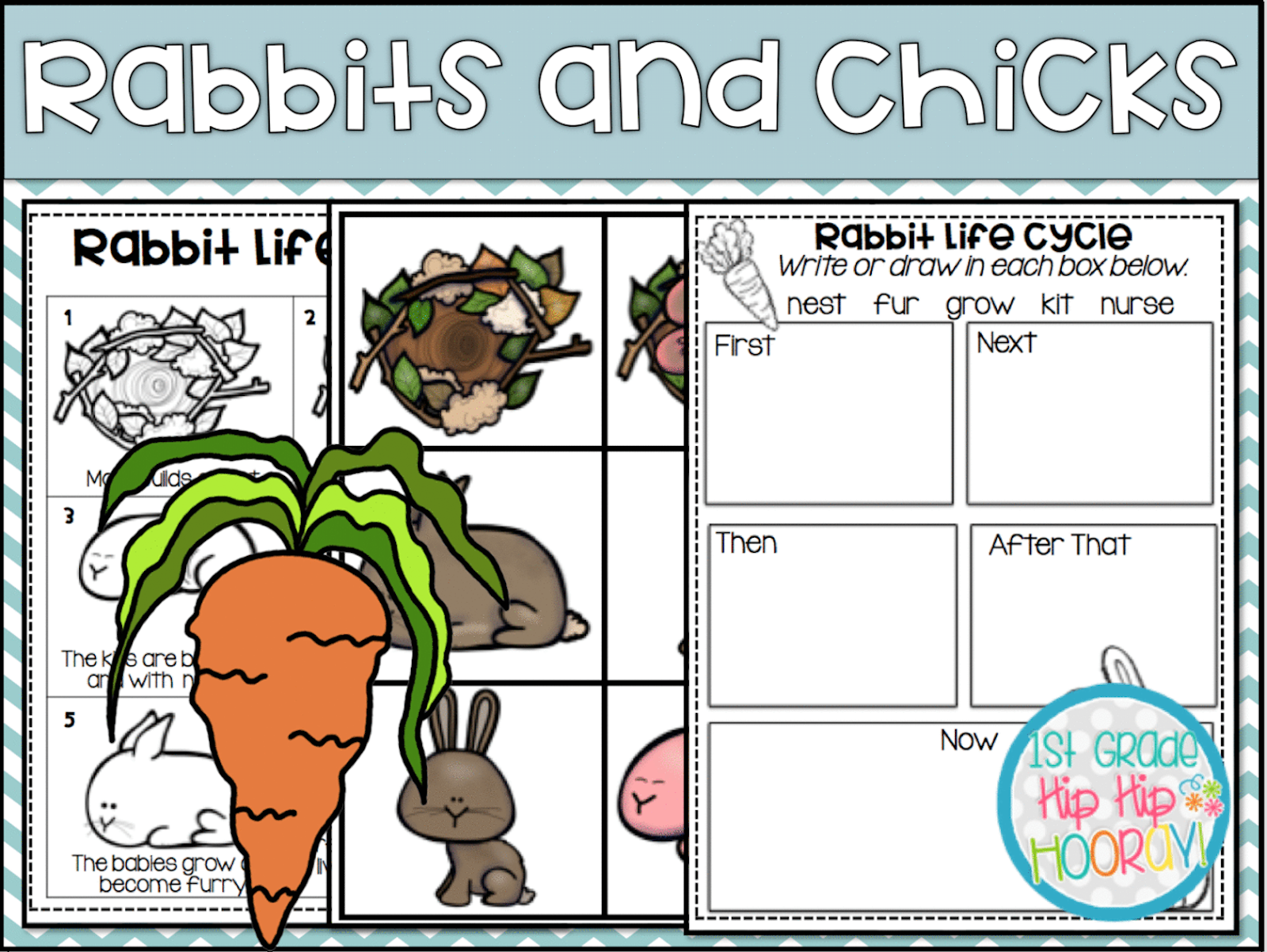 1st Grade Hip Hip Hooray!: Informational Text and Research with Bunnies ...