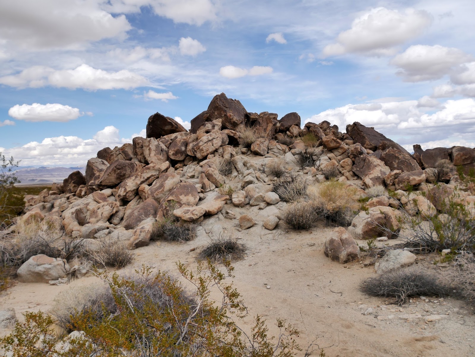 American Travel Journal: Pinto Basin Road - Joshua Tree National Park