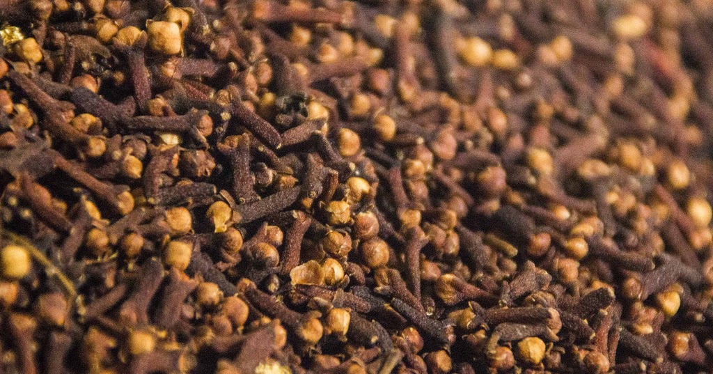 Dunia Tumbuh Tumbuhan: Budidaya Cengkeh