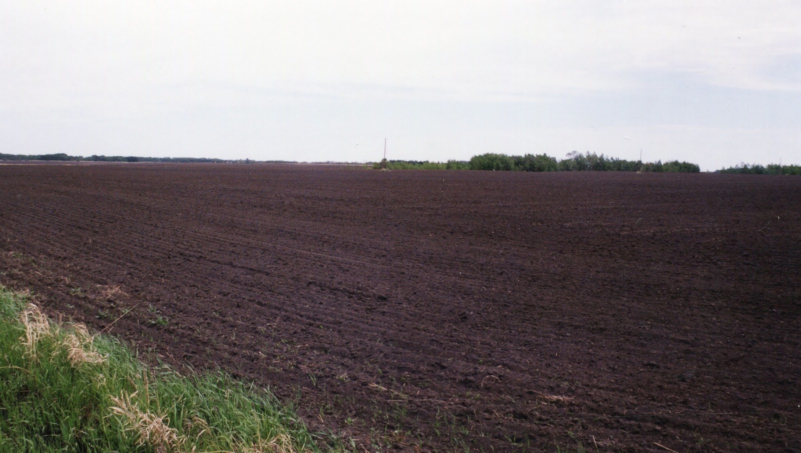 The Science of Dirt: From glacial till and glacio-lacustrine parent ...