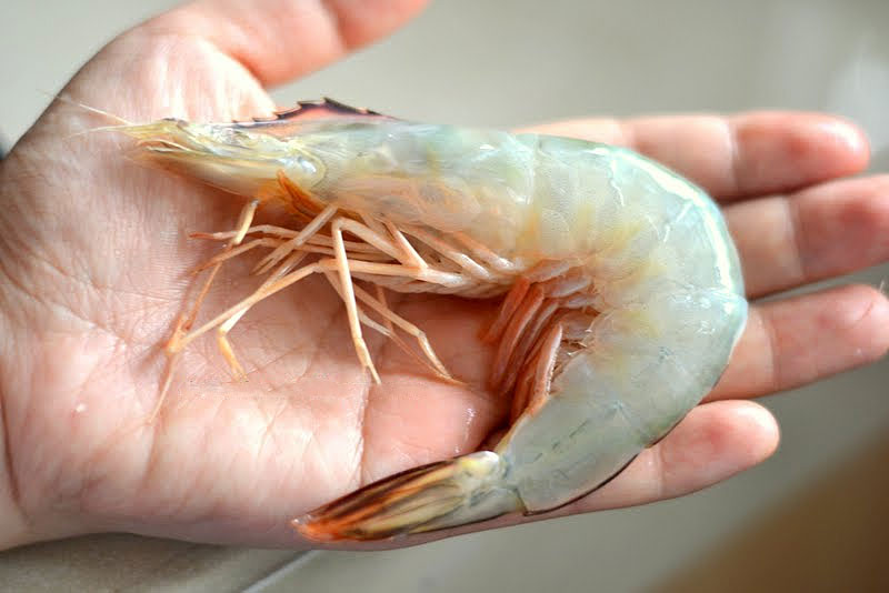 Karides nedir? - Laf Sözlük