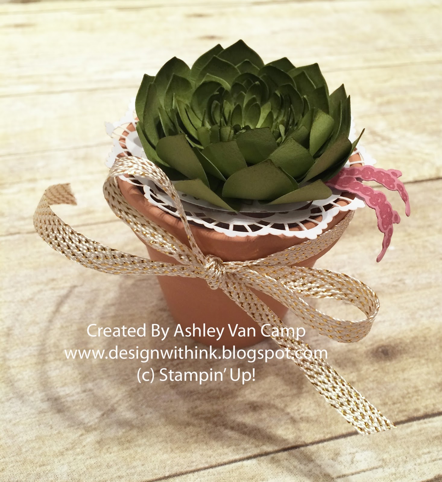 Design With Ink: A Little Succulent Fun...