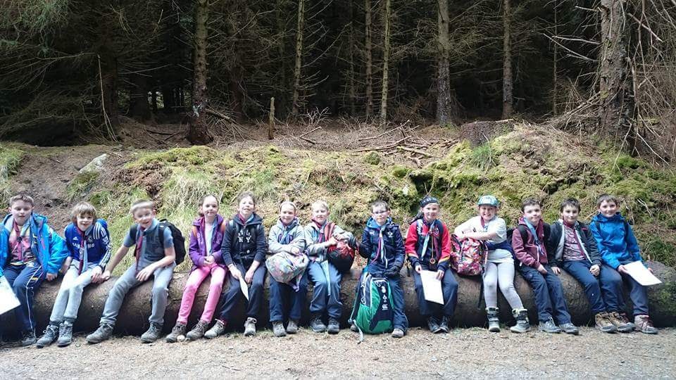 we like it when it is windy: Larch Hill - Kilmashogue - Three Rock ...