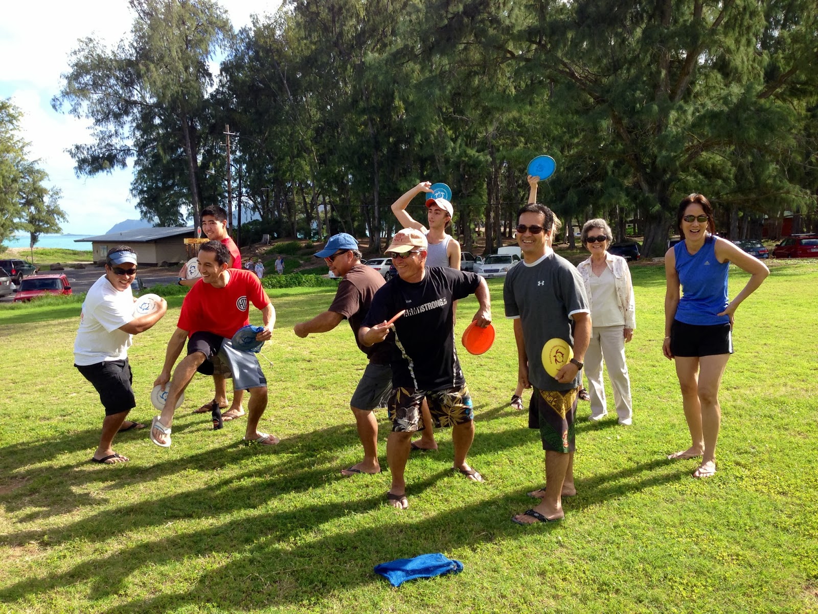 Aloha Windmill Farms: Giant Toad Invades Hawaii