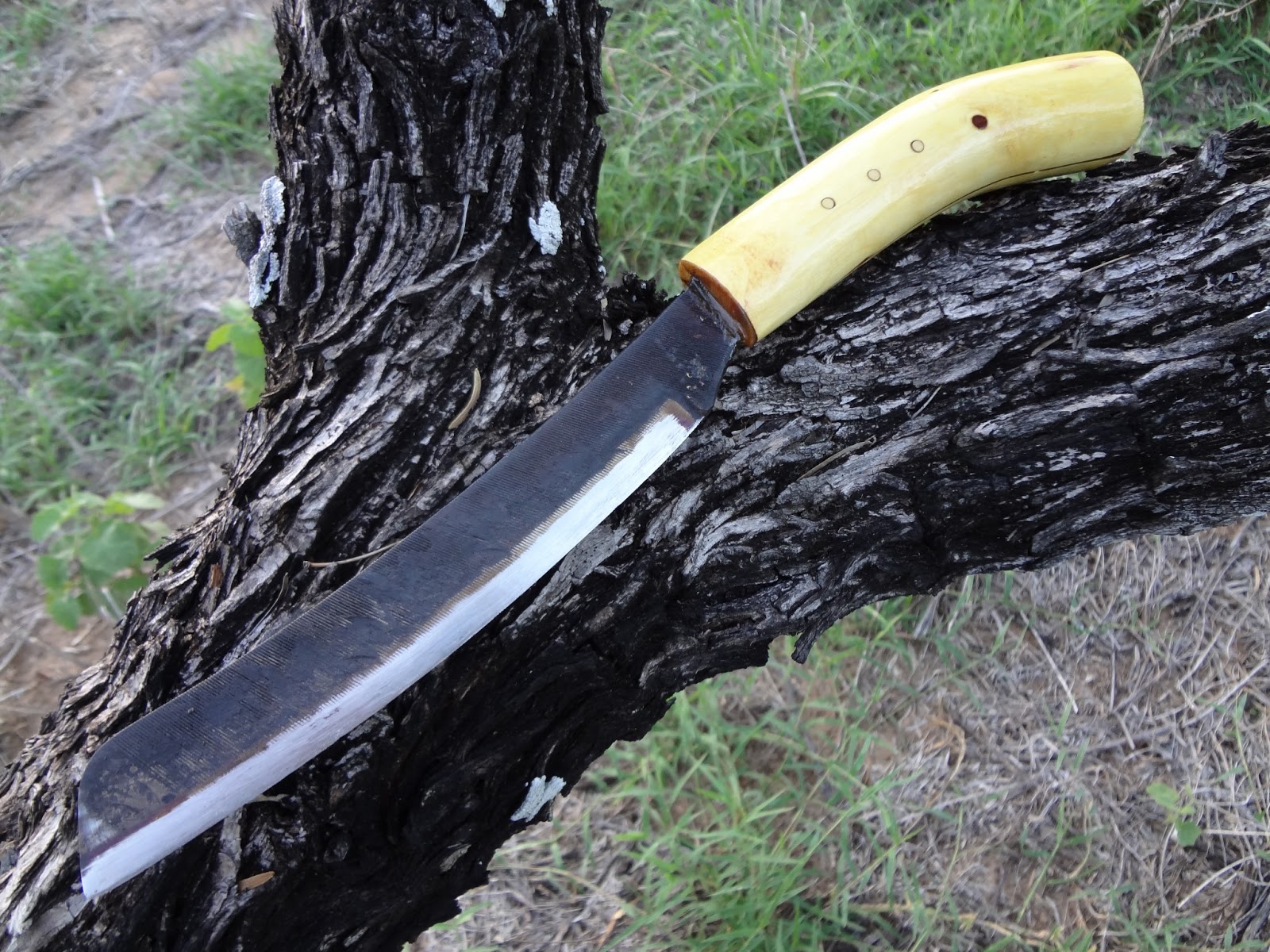 Woods Roamer: Wild Tales from the Texas Brushlands and the Making of a ...