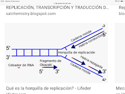IEES JUAN RAMÓN JIMÉNEZ BIOLOGÍA 2º BACHILLERATO: BALANCE ENERGÉTICO