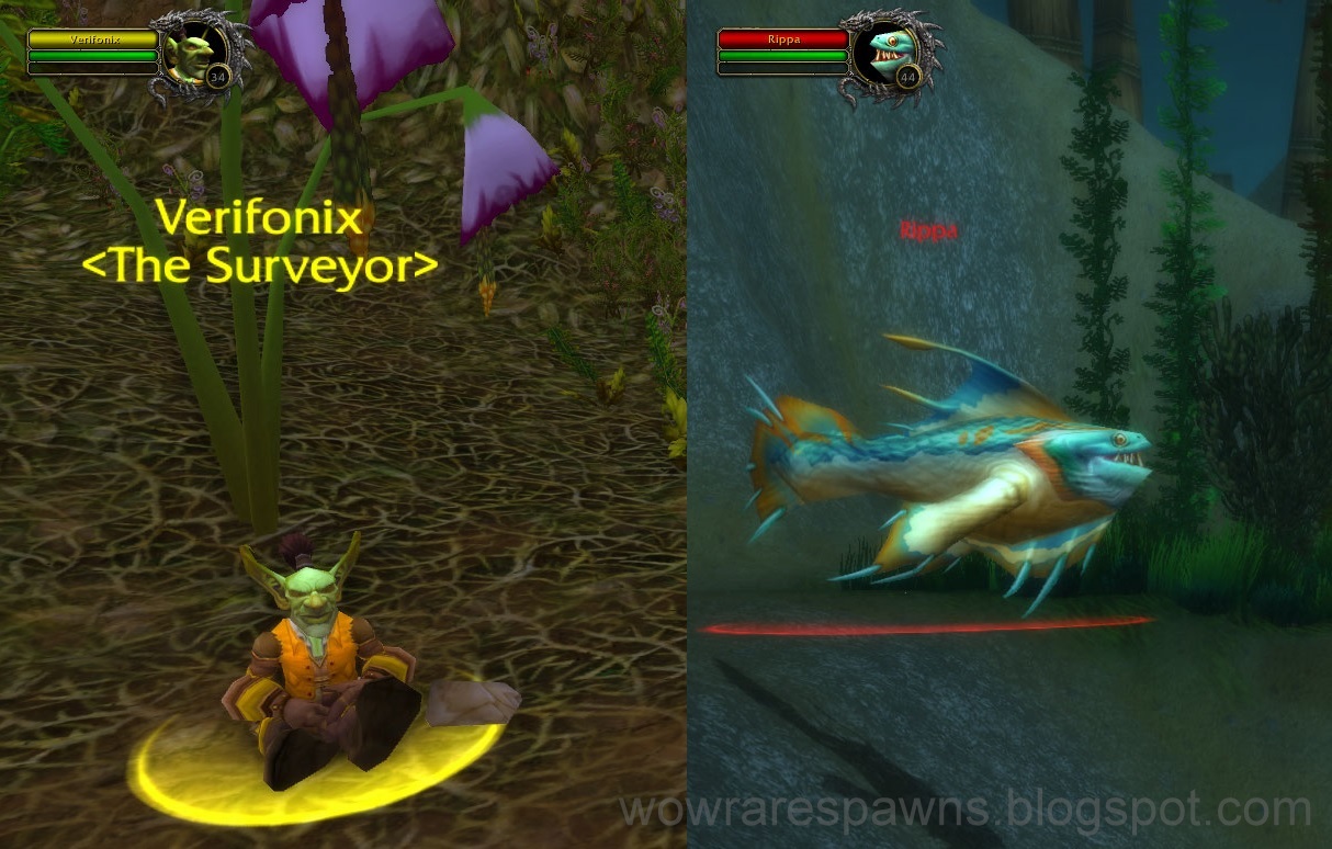 Cape Of Stranglethorn