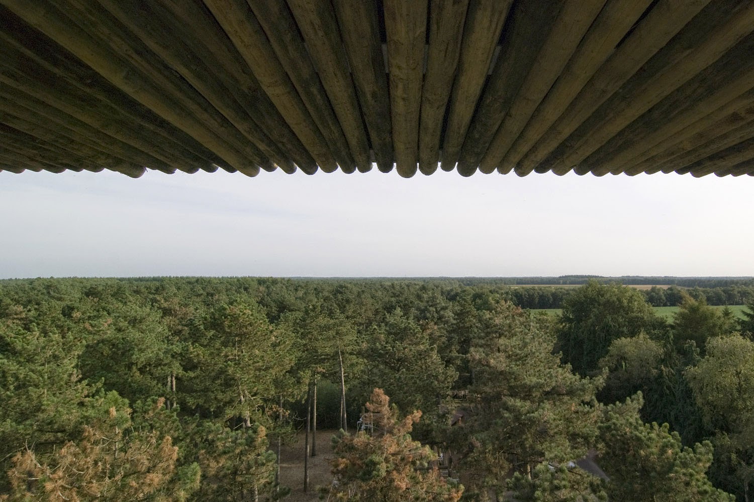 Viewing Tower in Reusel