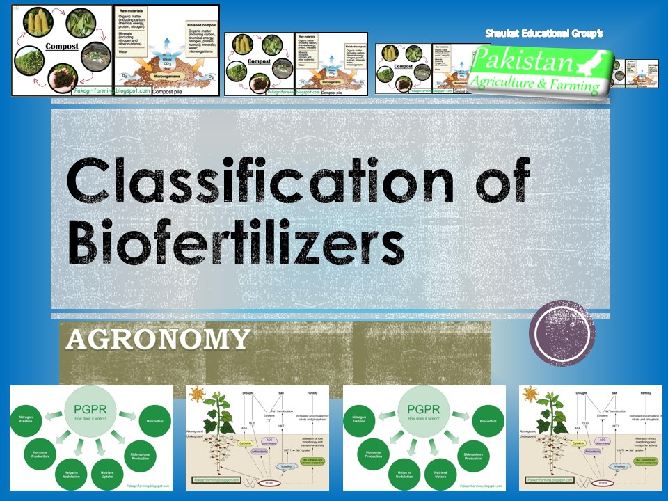 Classification of Biofertilizers