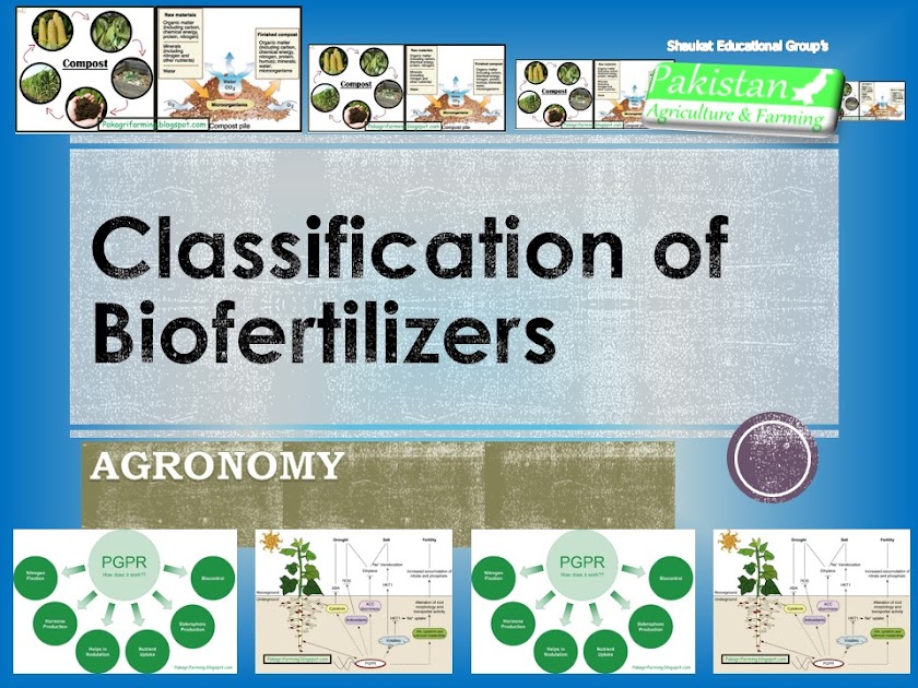 Introduction to Biofertilizers