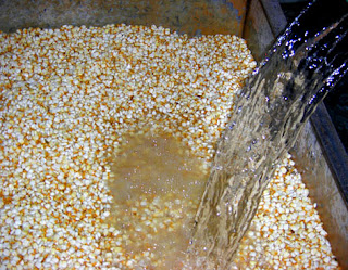 El nixtamal y sus derivados: El Nixtamal