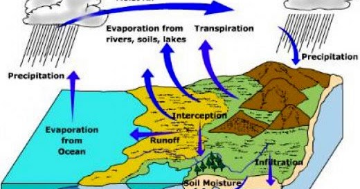 Water Cycle Infiltration
