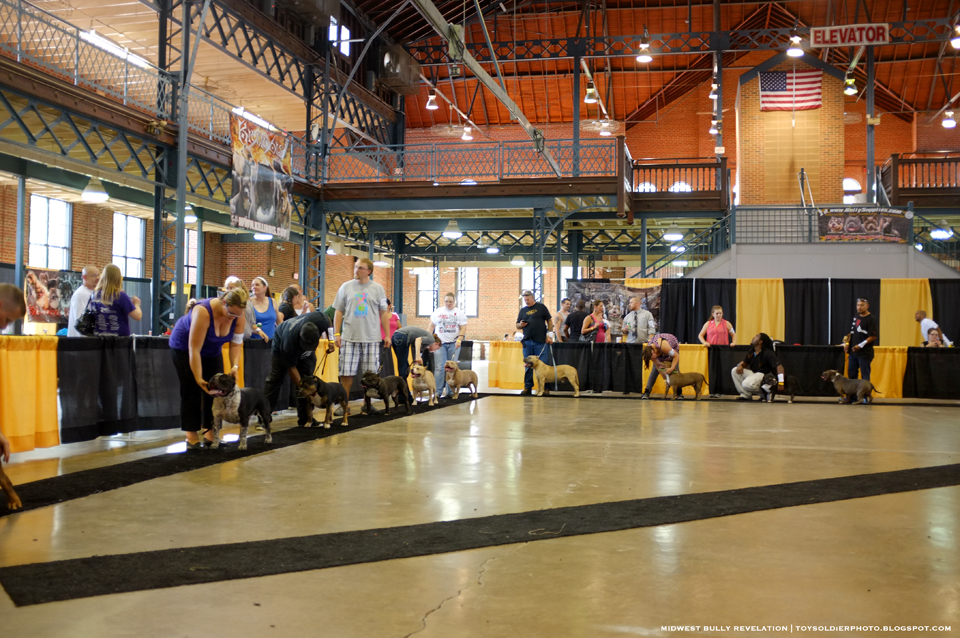 TOYSOLDiER BULLY PHOTOS