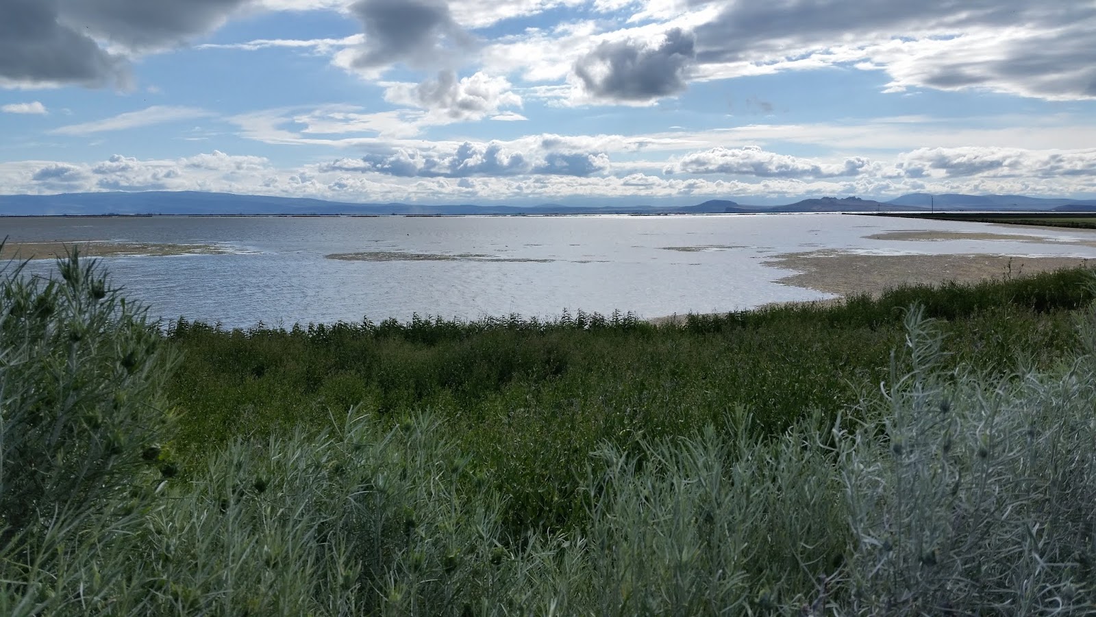 Wes' Travels to California Lakes: Tule Lake - Siskiyou County, California