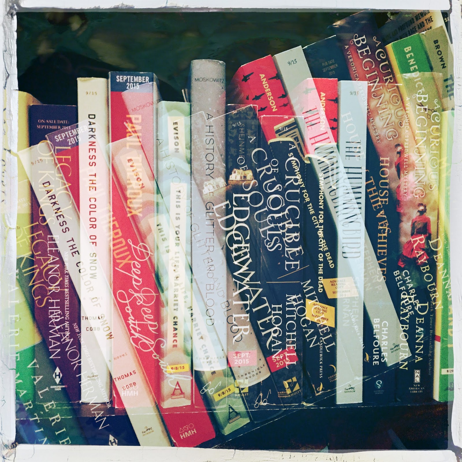 Beth Fish Reads: Fine-Tuning Your Personal Library: What to Keep, What ...