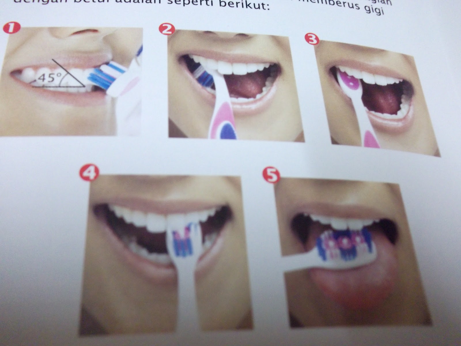 Aktiviti Harian: Siapa Disini Tidak Pernah Sekali Pun Yang Memberus ...