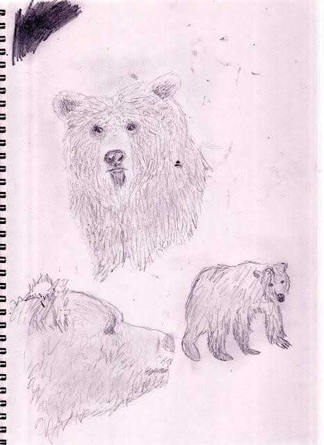 Stacey Muir Graphics Unit 1: Real Life Drawing