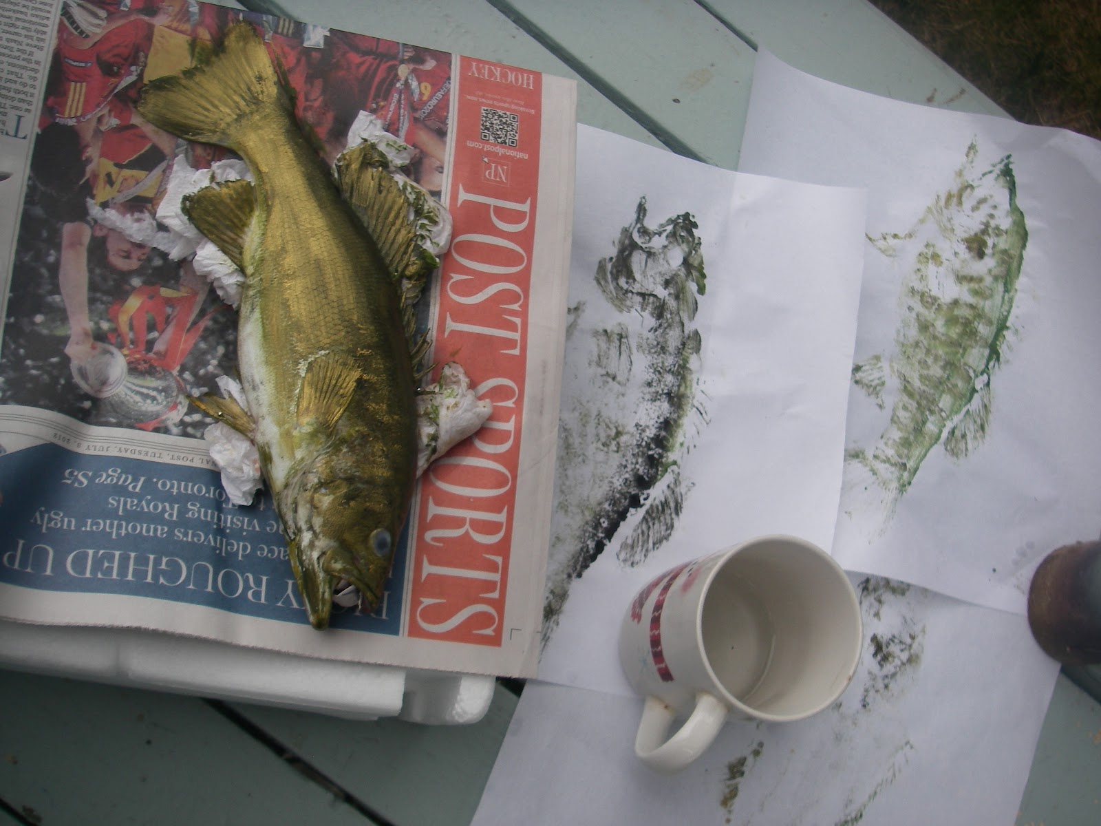 CHARLES WEISS ART: Smallmouth Bass on Rice Paper Print